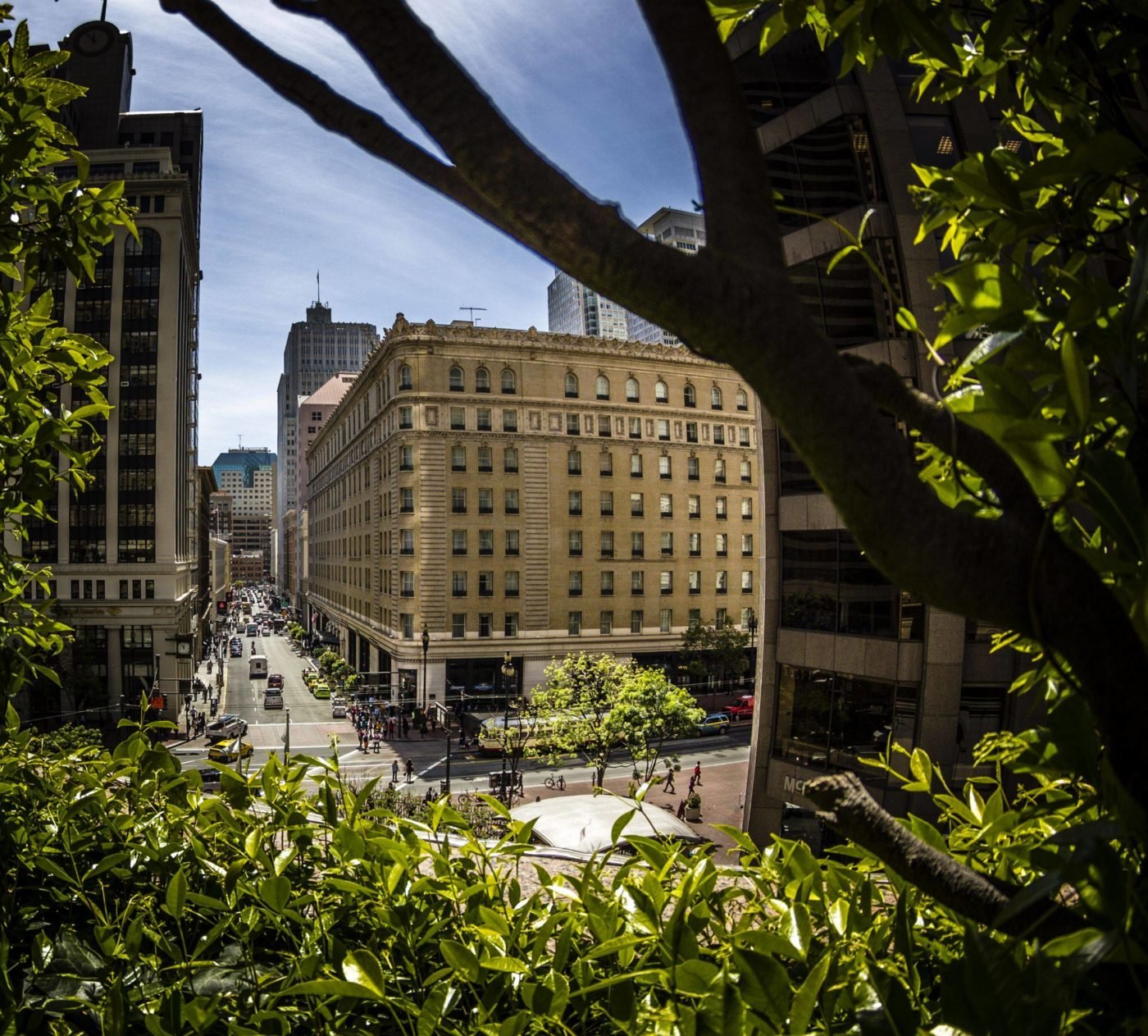 office building behind trees – Arturo Alvarez-Demalde Pics and Places